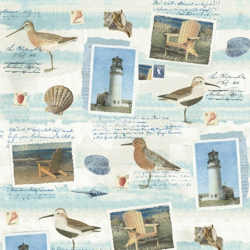 Sandy Shores 33650-X Cotton – Windham Fabrics